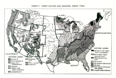 Old-Growth Forests - resources and info - Friends of Mount Sunapee